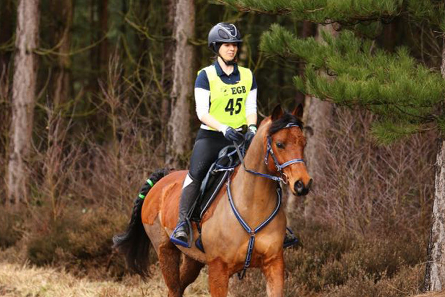 Endurance GB Announcement - British Horse Feeds