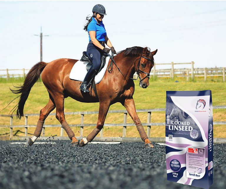 Home - British Horse Feeds