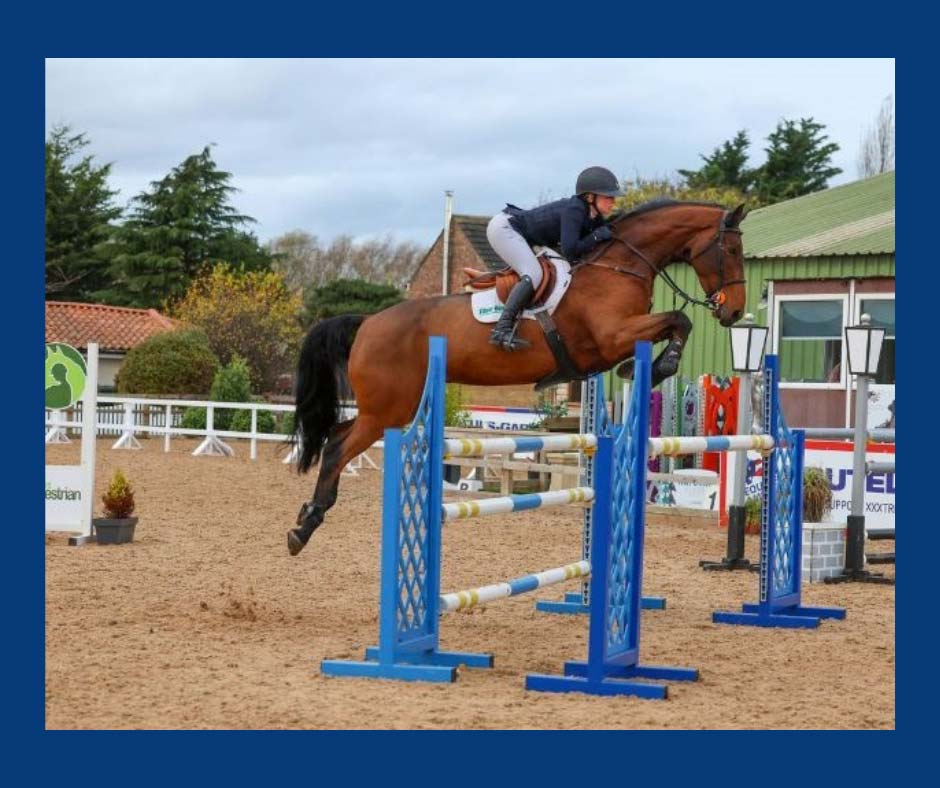 Horse Jumping Front View