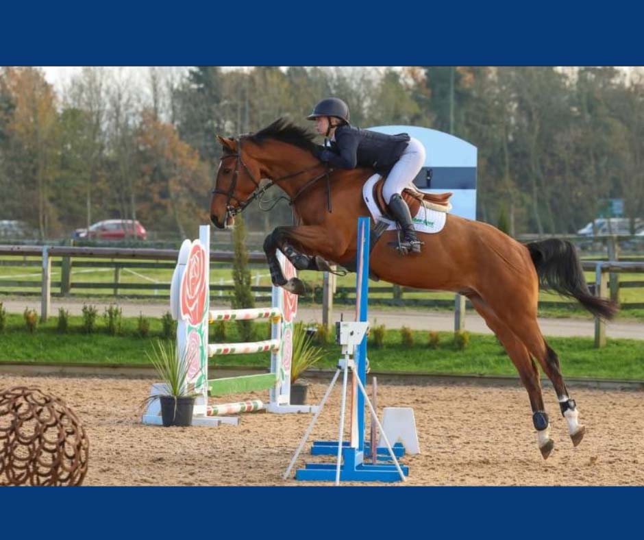 Horse Jumping Front View